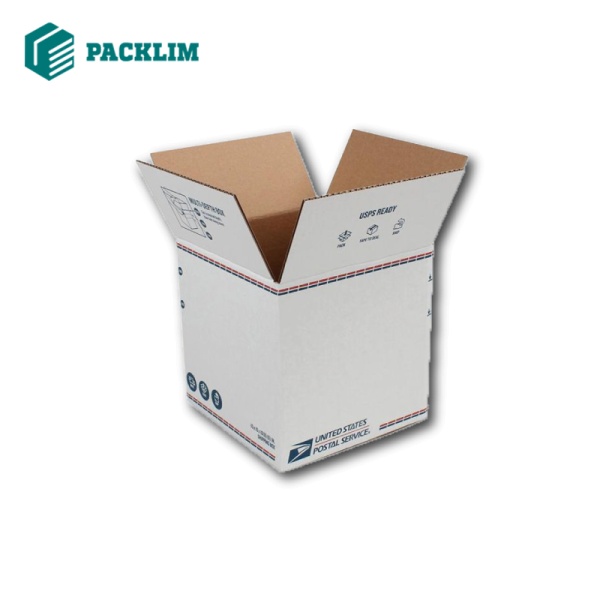Custom Printed Regular Slotted Boxes Corrugated Packaging