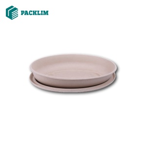Custom Printed Takeaway Plates For Food Packaging - Packlim