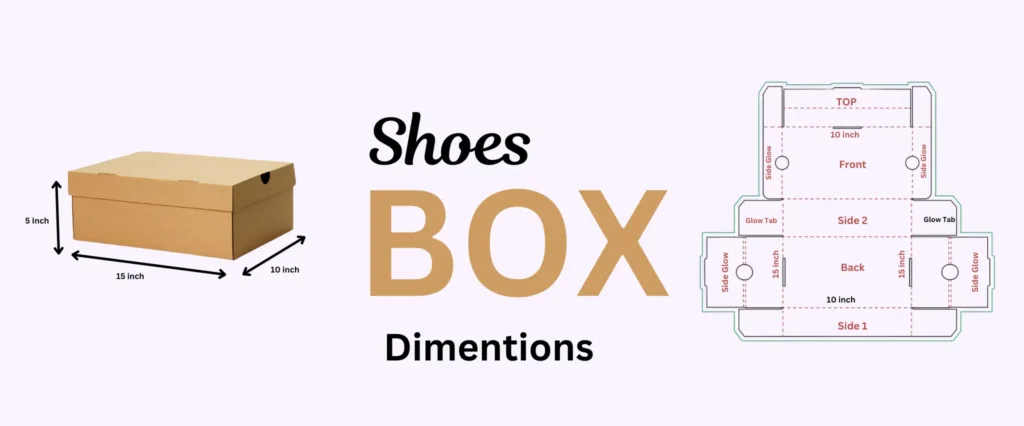 All You Need To Know About Shoe Box Dimensions